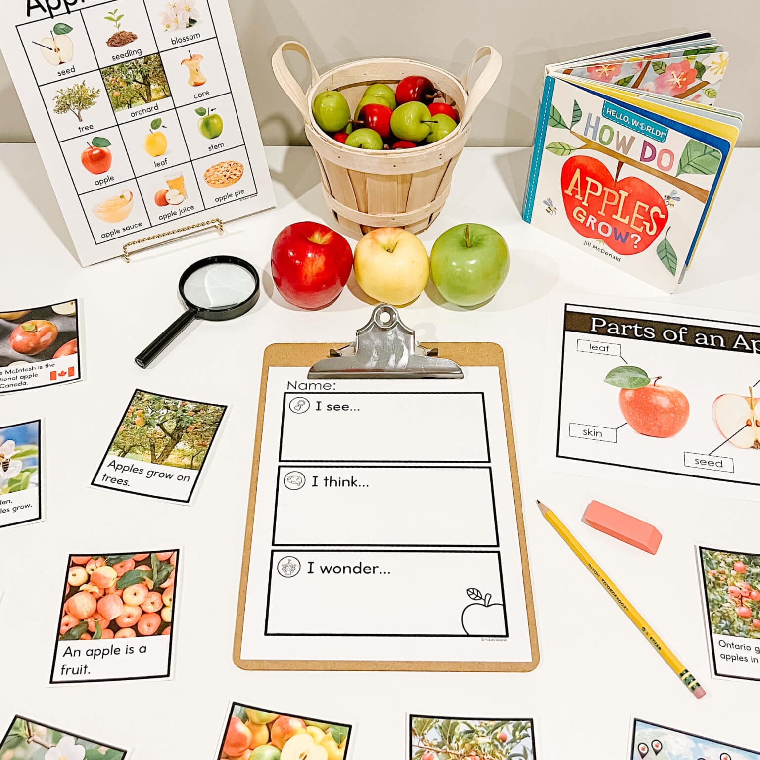17 Apple Activities for Kindergarten (with Freebies!)