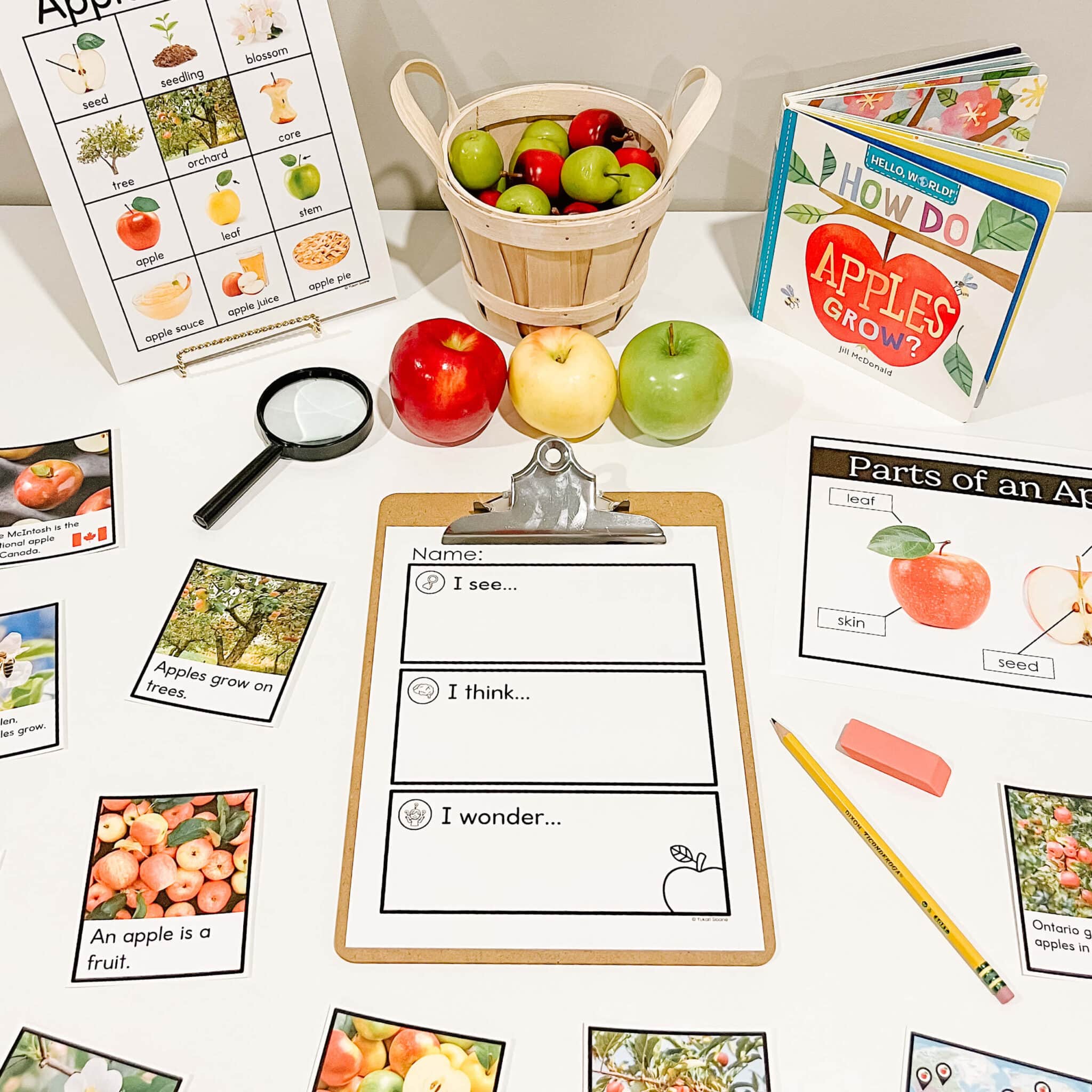 17 Apple Activities for Kindergarten (with Freebies!)