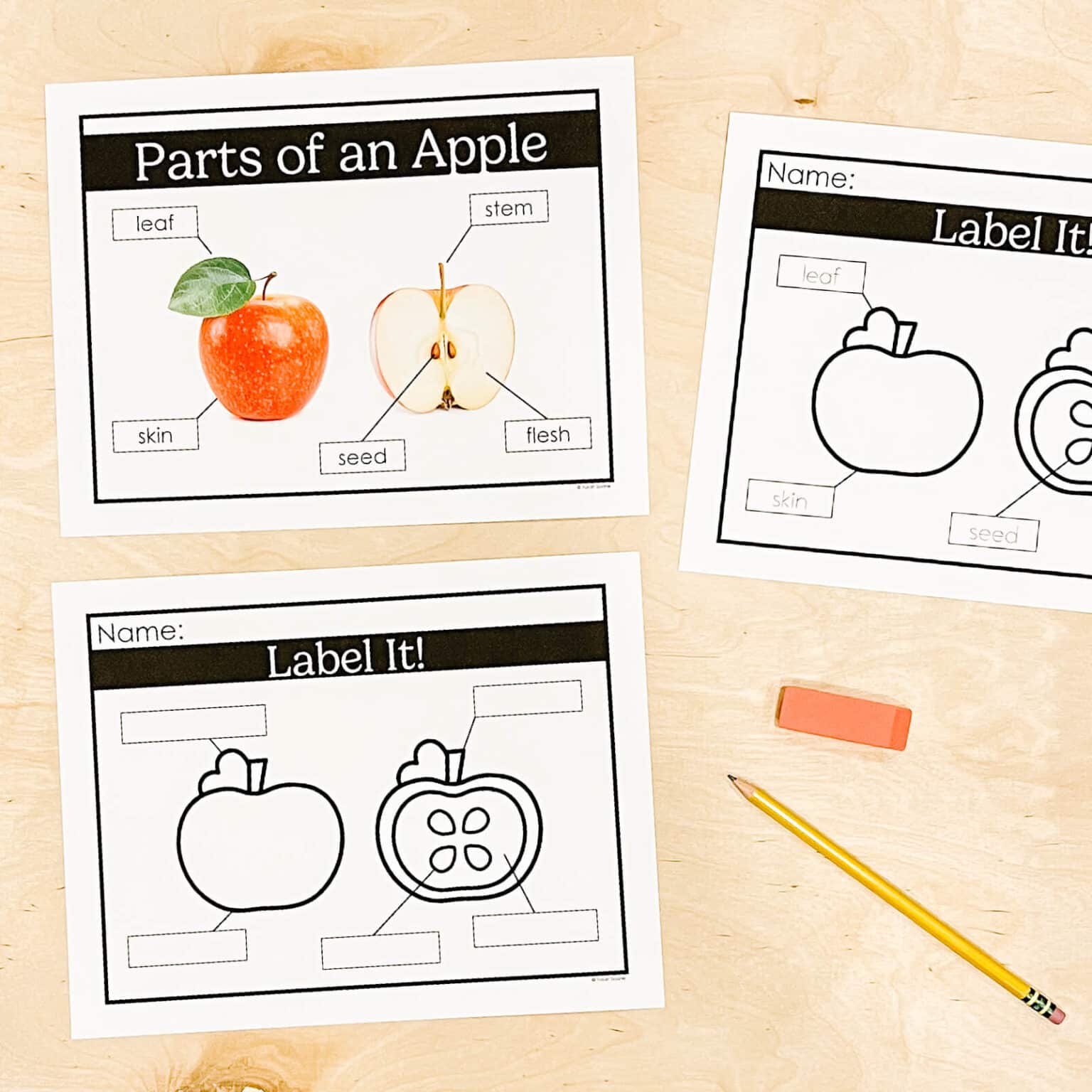 17 Apple Activities for Kindergarten (with Freebies!)