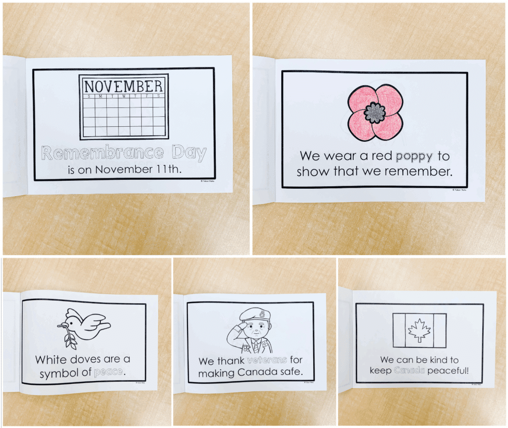 Heartfelt Remembrance Day Activities for Kindergarten: Meaningful ...